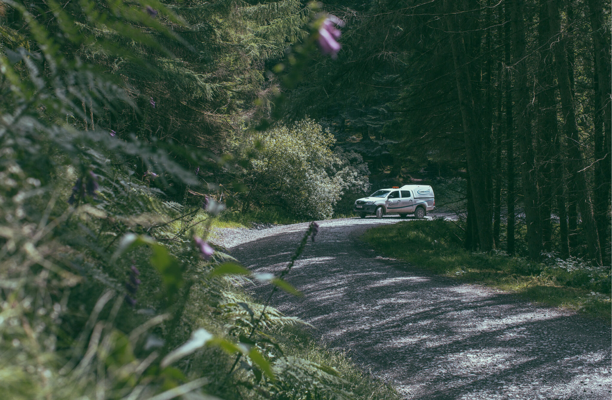 Services | Landmarc Solutions